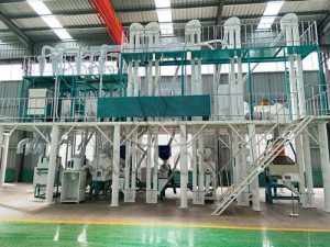 50T Maize Meal Milling Plant in Africa | Corn Flour Mill for Sale