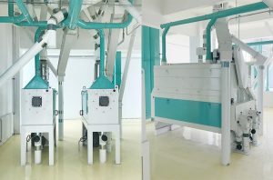 100-300t per day wheat roller flour milling plant machinery
