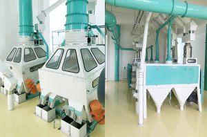 100-300t per day wheat roller flour milling plant machinery