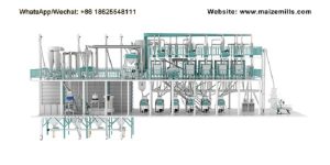 How Wheat Flour is Made: The Process of Wheat to Flour